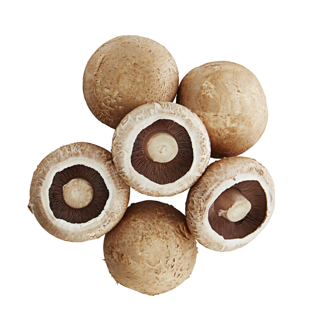 Portabello & Swiss Brown Mushrooms in Australia | MushBoom
